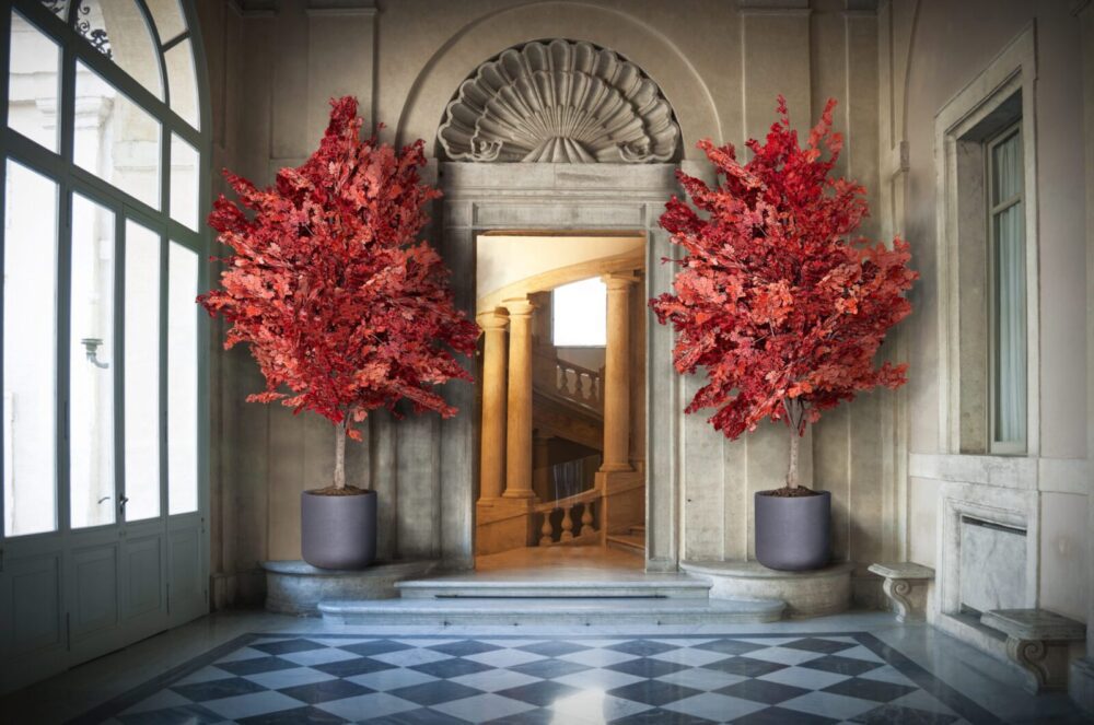 ¿En qué consiste la estabilización de plantas? - Blogdelujo